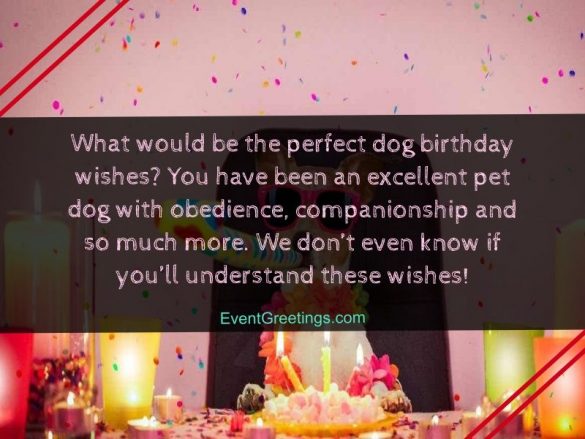 50 Best Happy Birthday Dog Wishes With Images Events Greetings