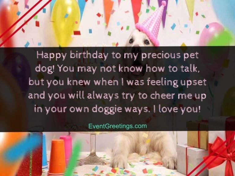 50 Best Happy Birthday Dog Wishes With Images Events Greetings