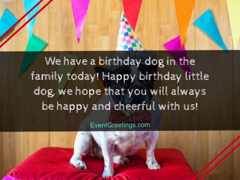 50 Best Happy Birthday Dog Wishes With Images Events Greetings
