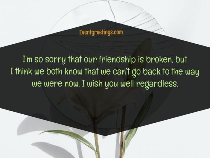 30 Quotes About Friendship Ending - Broken Friendship Quotes
