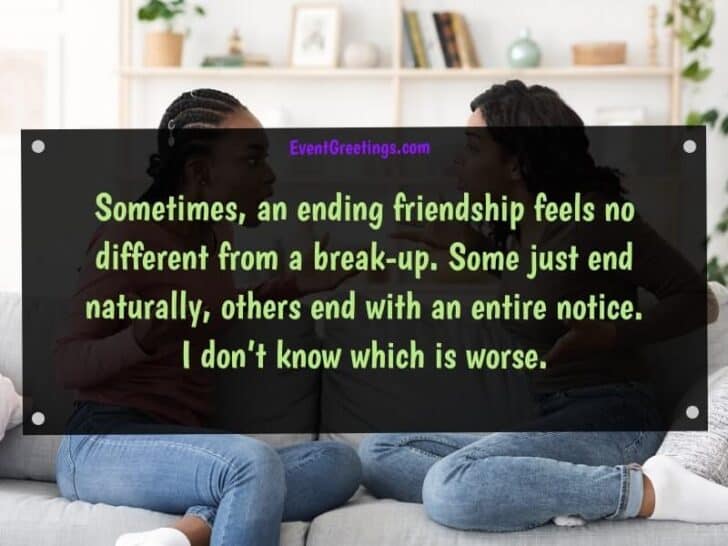 30 Quotes About Friendship Ending - Broken Friendship Quotes