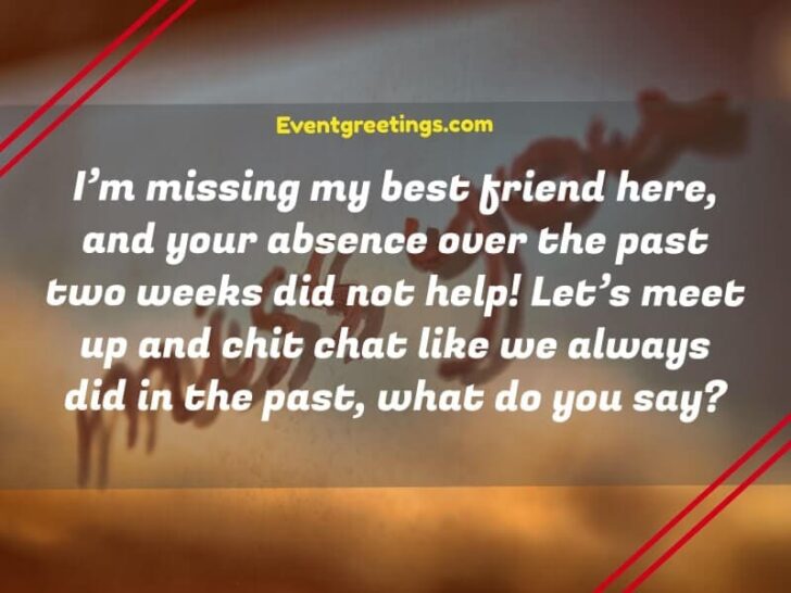 25 I Miss My Best Friend Quotes – Events Greetings
