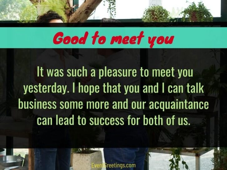 Nice to Meet You Quotes For Pleasant Meeting – Events Greetings