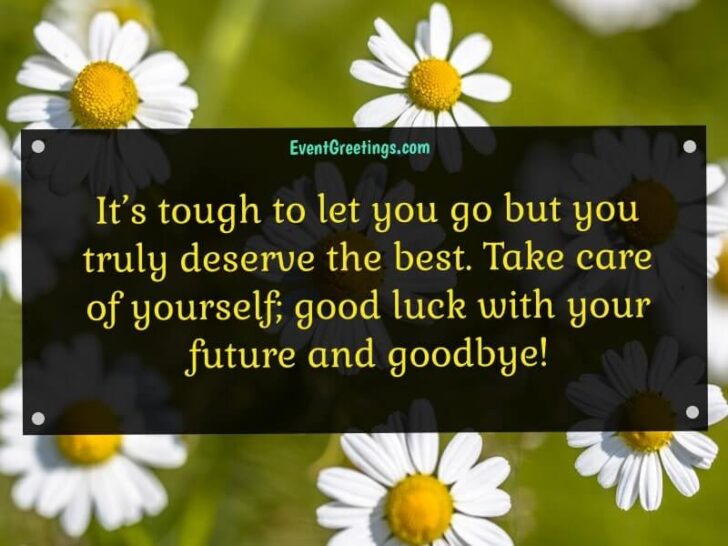 35 Farewell Messages And Wishes – Events Greetings