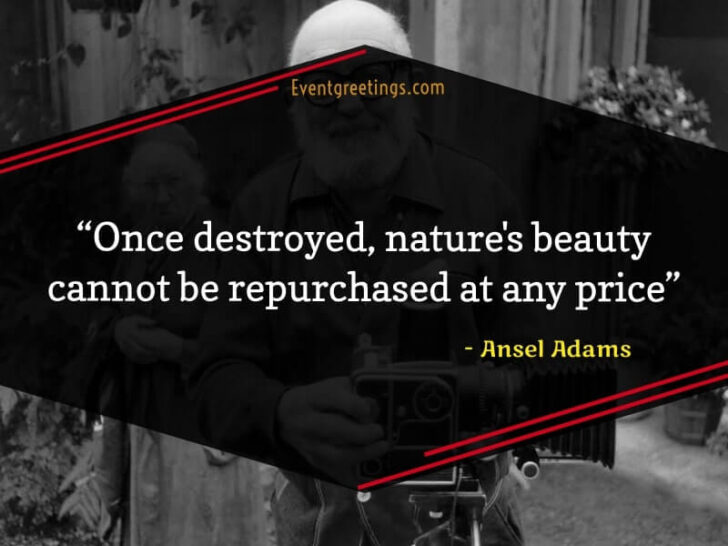 60 Famous Ansel Adams Quotes About Photography & Nature